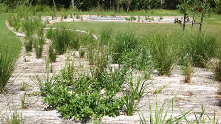 Bioretention systems | The different types & benefits | River Sands